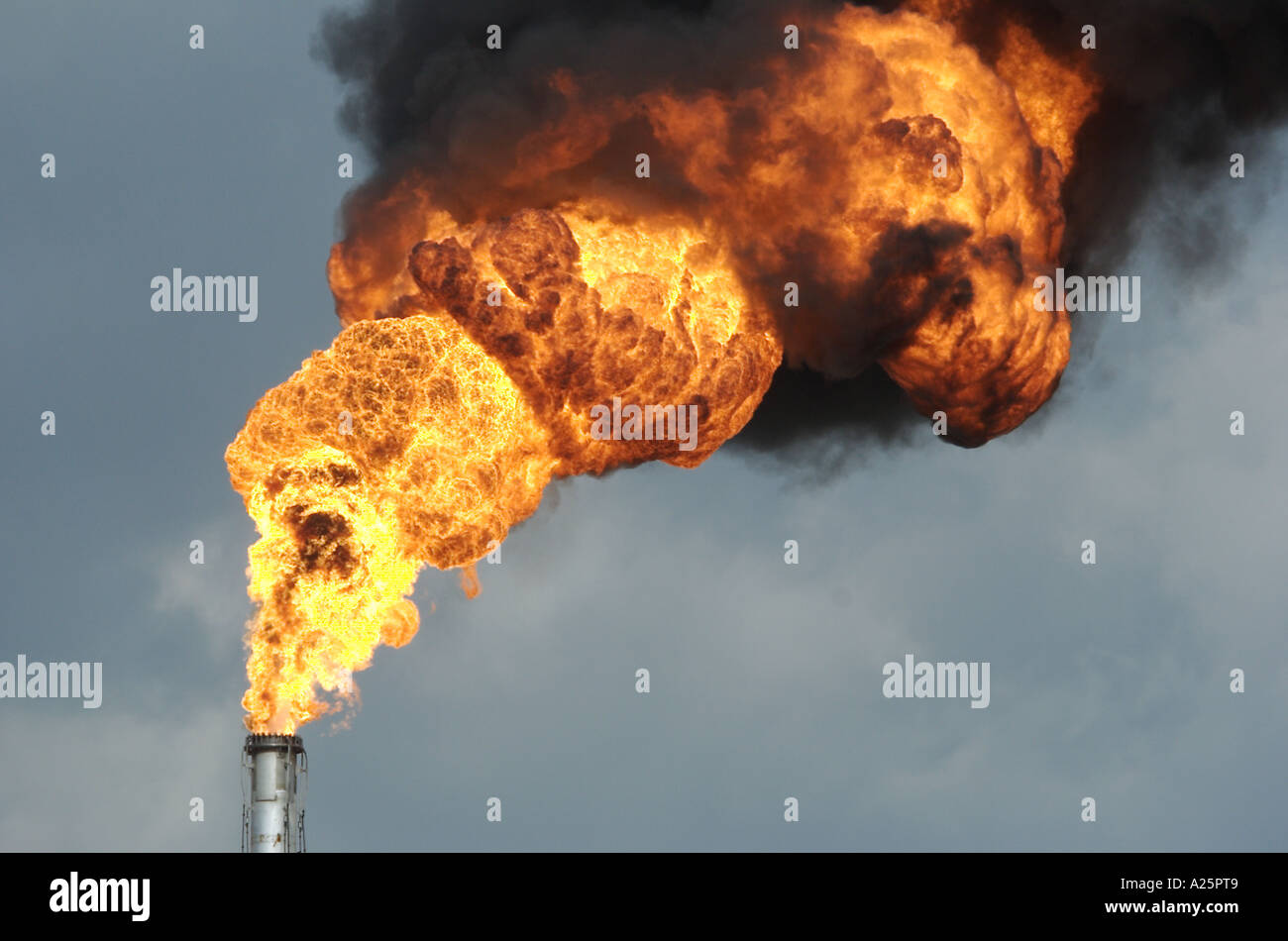 Intense hot fires burning from oil refinery flares Stock Photo - Alamy