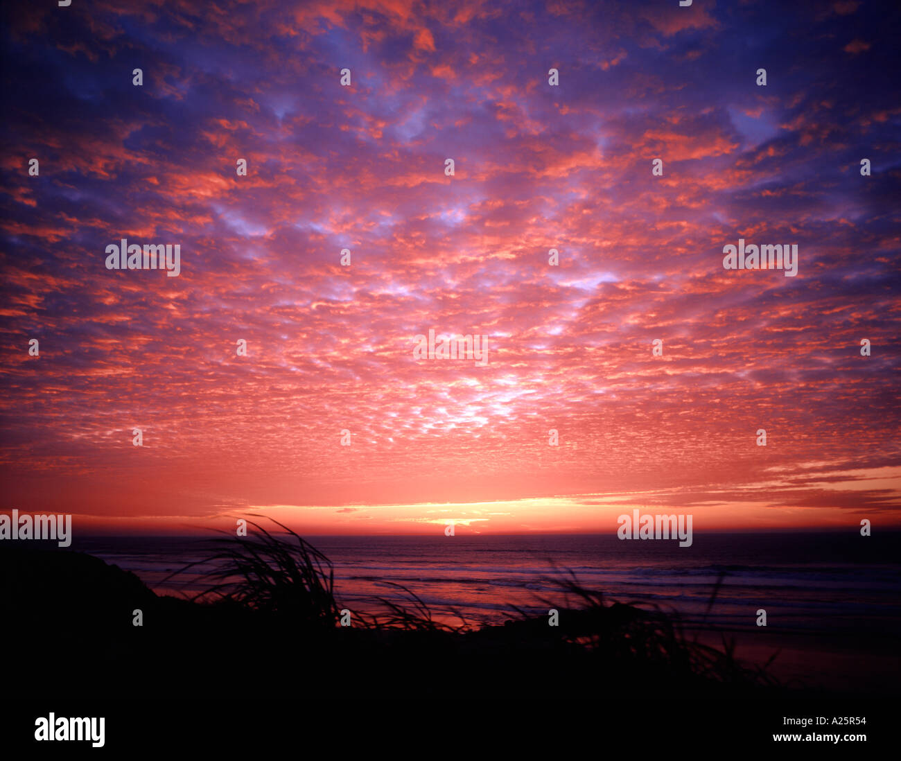 Dramatic sunset at Newport on the Oregon coast with tiny fluffy clouds ...