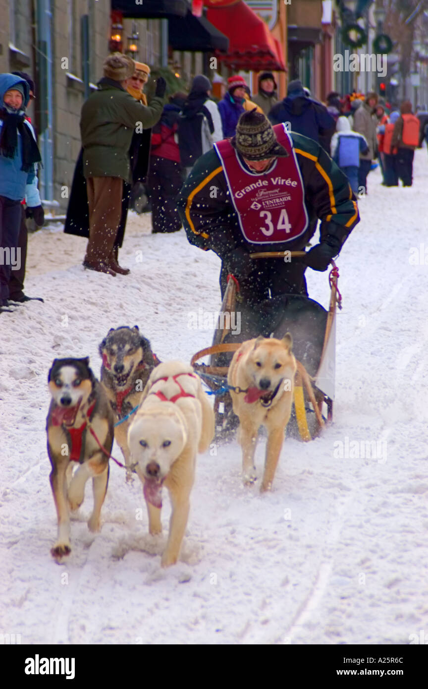 Musher canada hi-res stock photography and images - Alamy