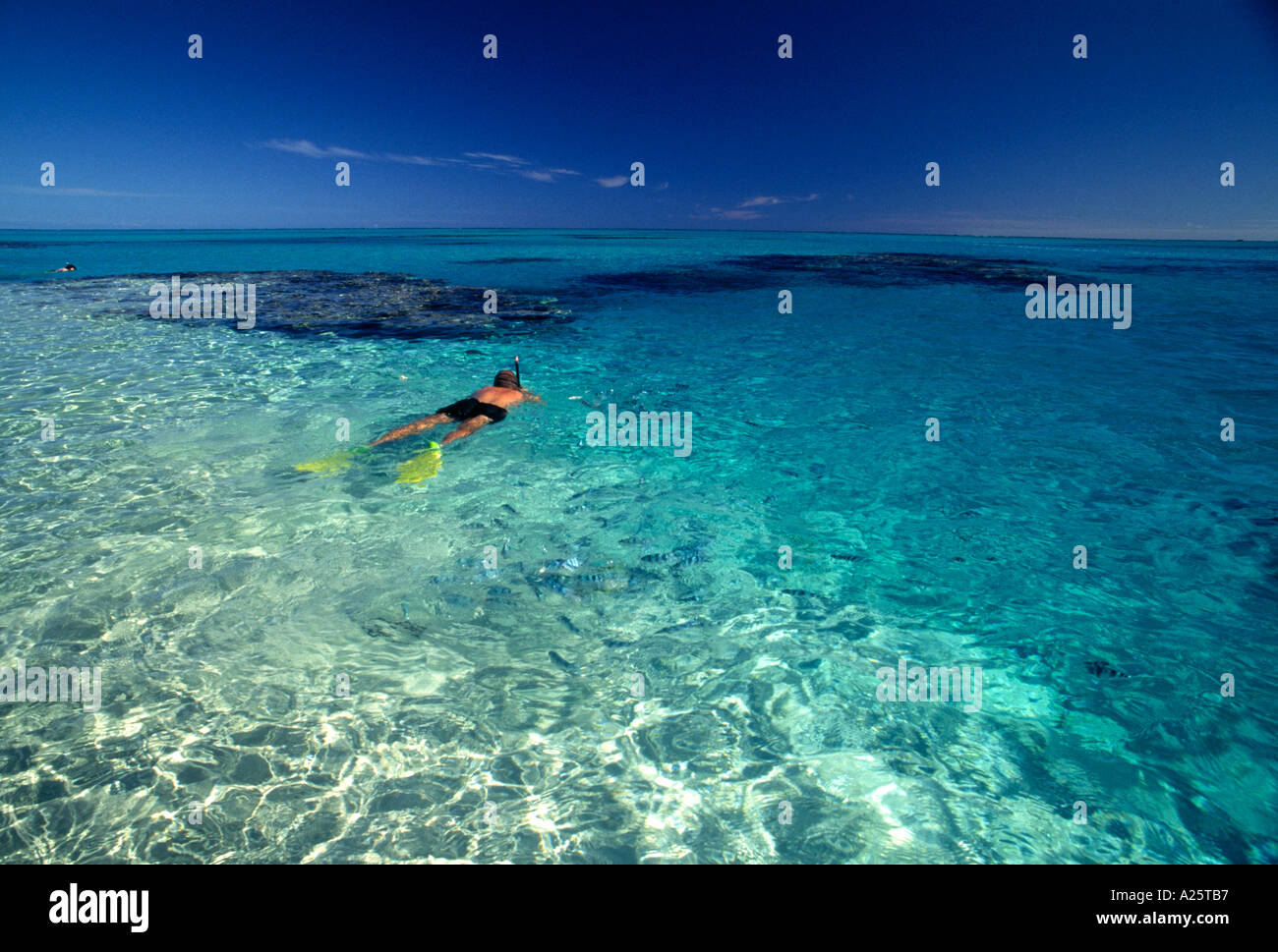 Snorkeling in crystal clear tropical waters of Aitutaki Cook Islands ...