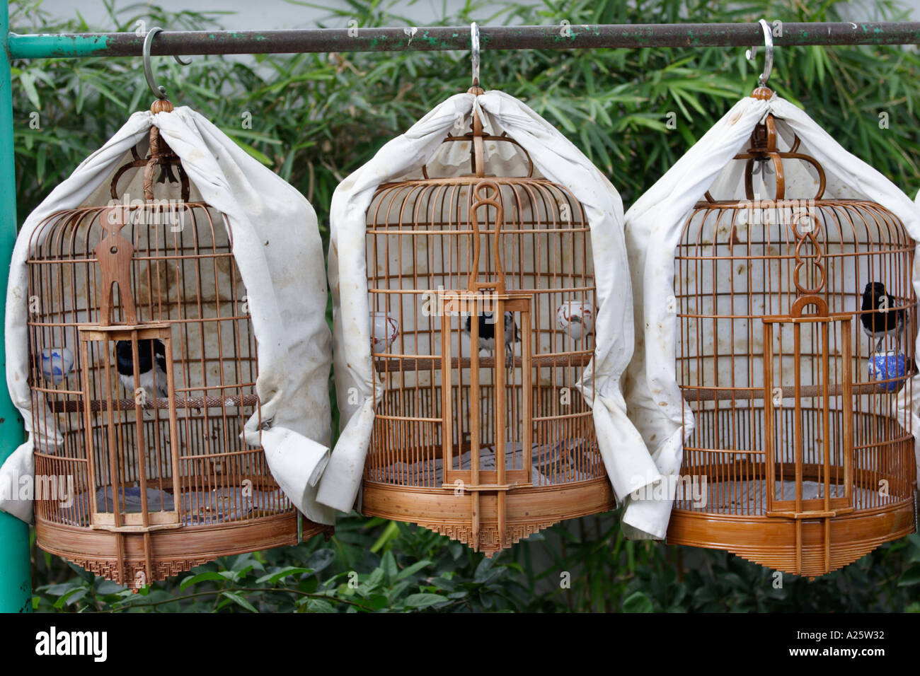 Yuen Po Street Bird Garden Market Mongkok Kowloon Hong Kong China Stock ...