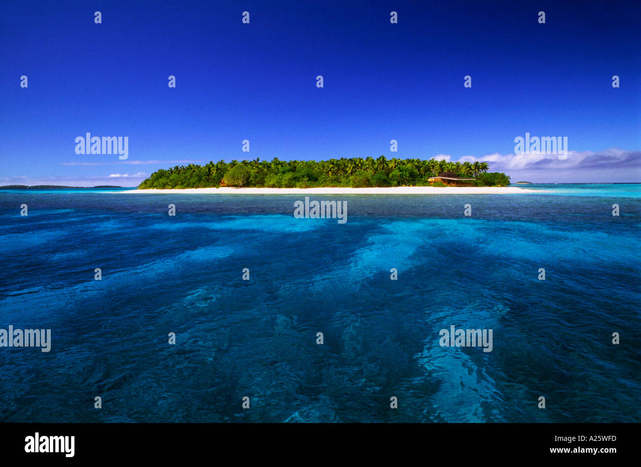 Island in Vavau The Kingdom of Tonga Stock Photo - Alamy