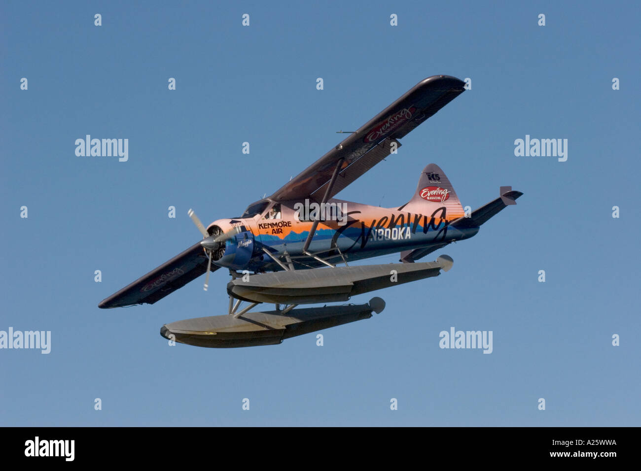 De Havilland DHC2 Beaver float plane Stock Photo - Alamy