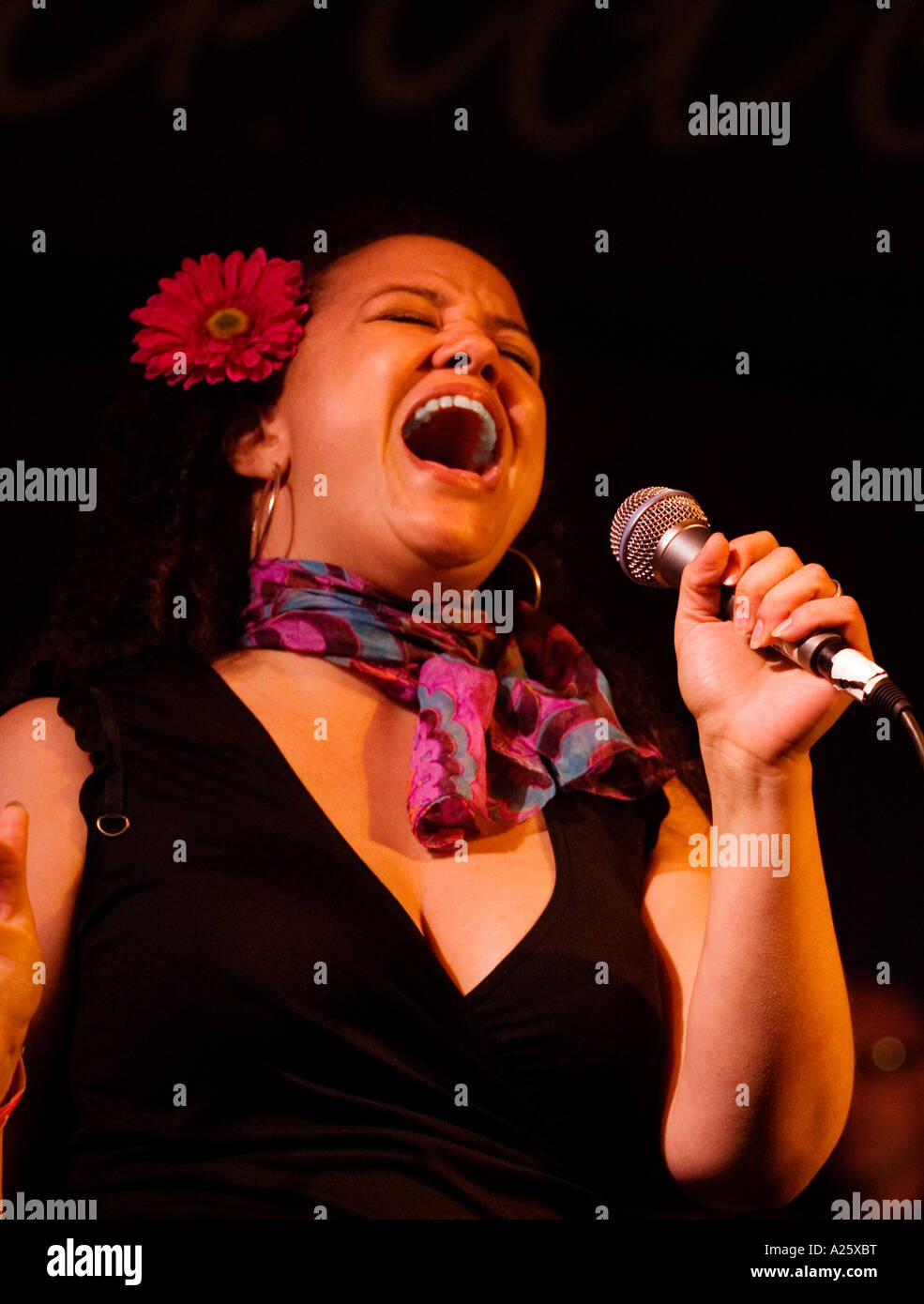 Female vocalist performs during a tribute to Ray Charles at the ...