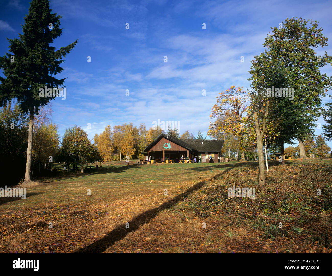 Alice holt forest hi-res stock photography and images - Alamy