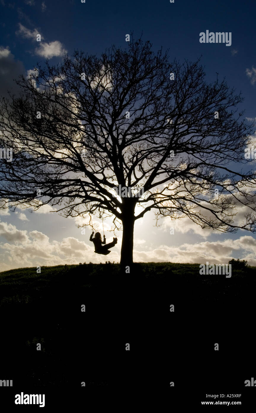 Swing attached to tree on Burrow Hill above orchard of the Somerset ...