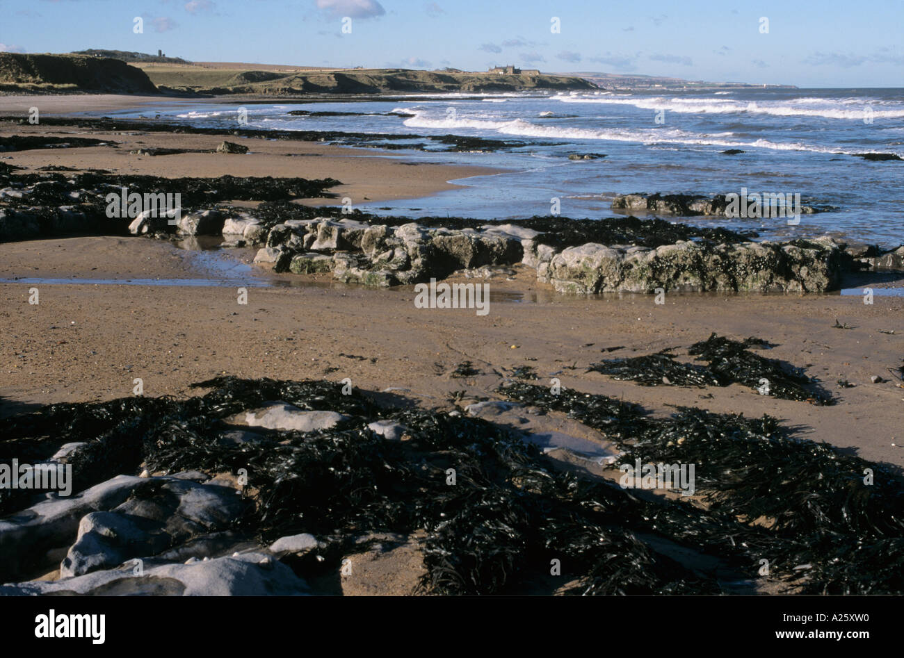 Cocklawburn beach winter hi-res stock photography and images - Alamy