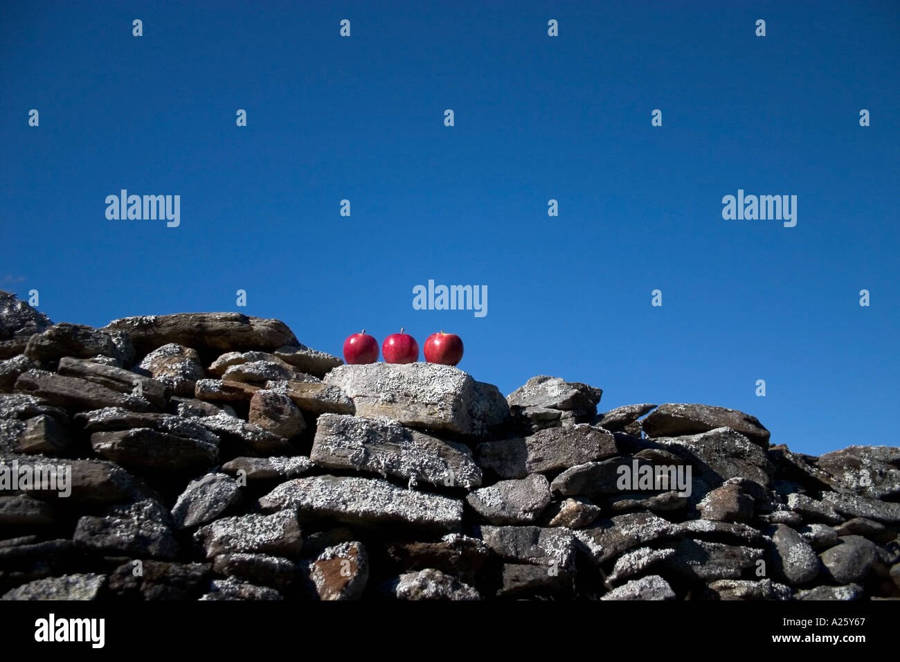 Three apples on a sone wall Stock Photo - Alamy