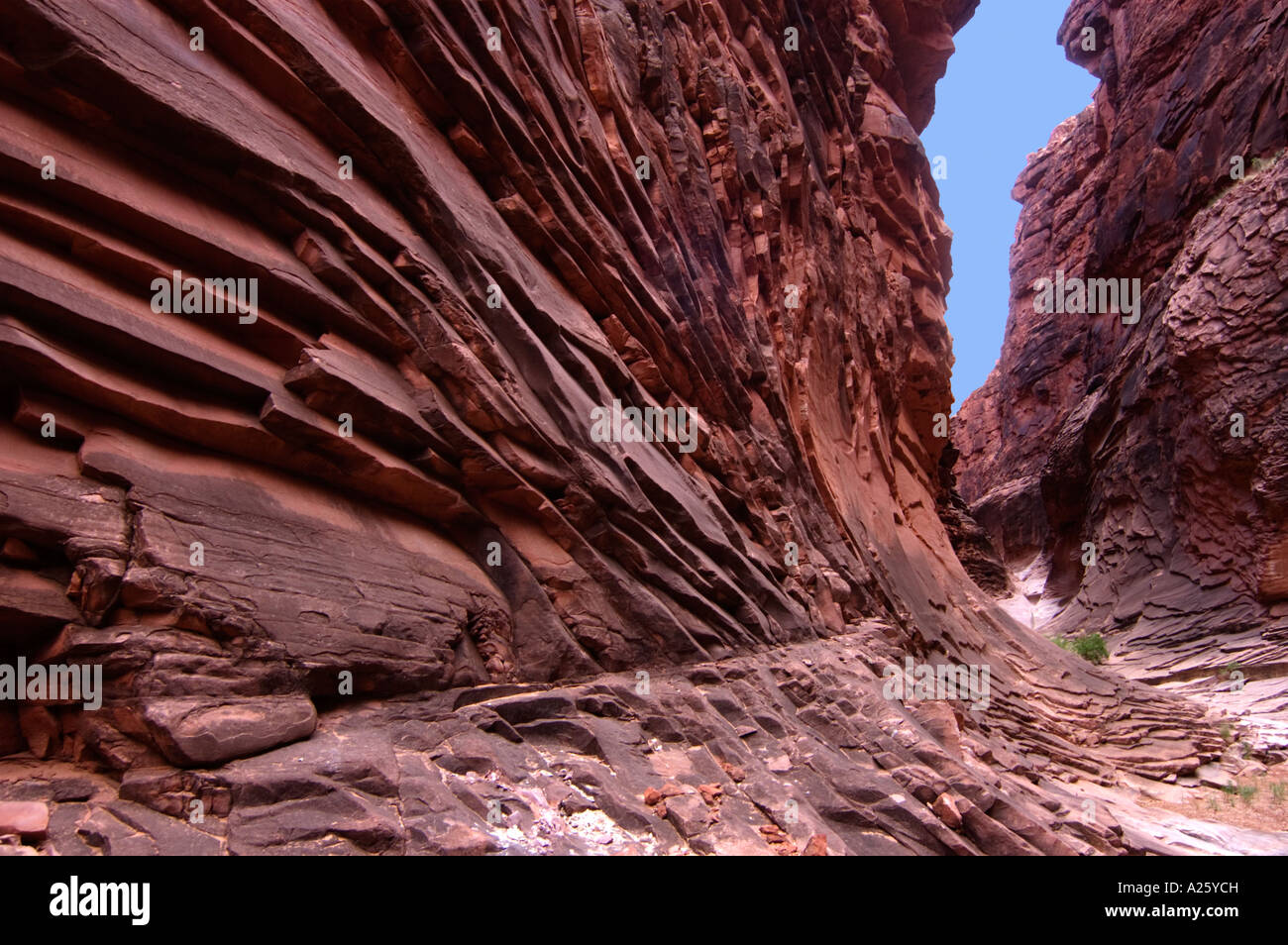 SUPAI SANDSTONE swirls in North Canyon at mile 20 along the Colorado ...