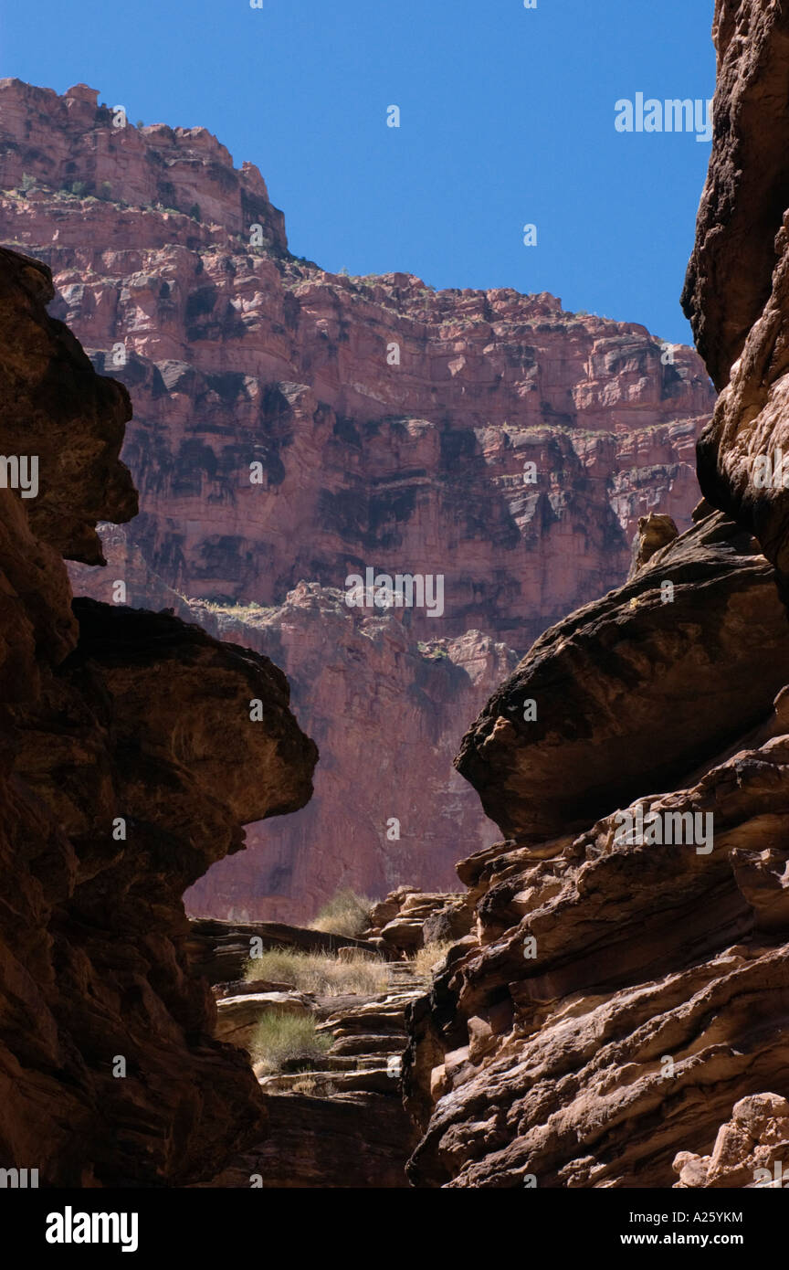 BLACK TAIL CANYON NARROWS is made of TEPEATS SANDSTONE AND VISHNU ...