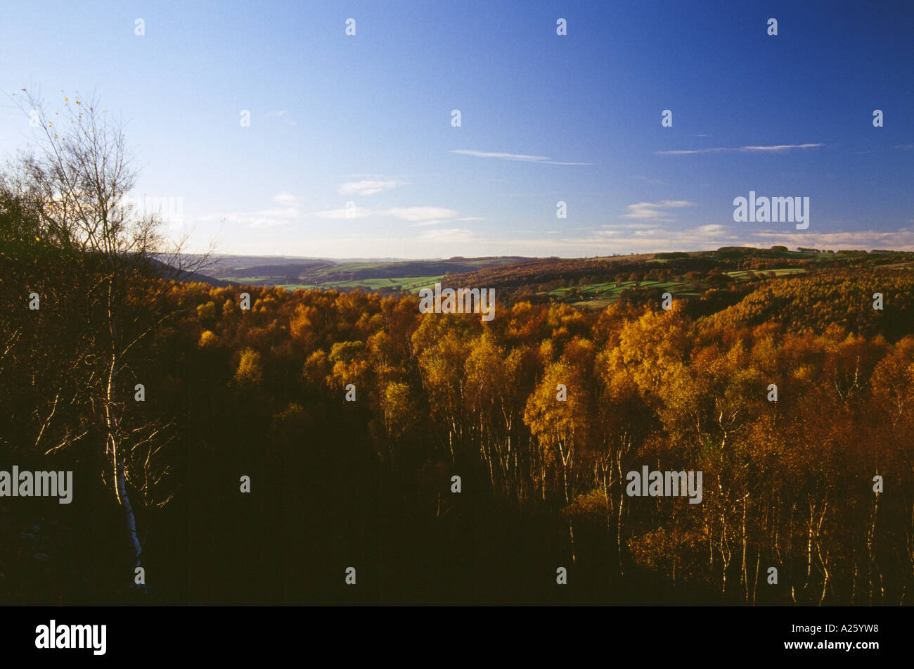 Lawrencefield hi-res stock photography and images - Alamy