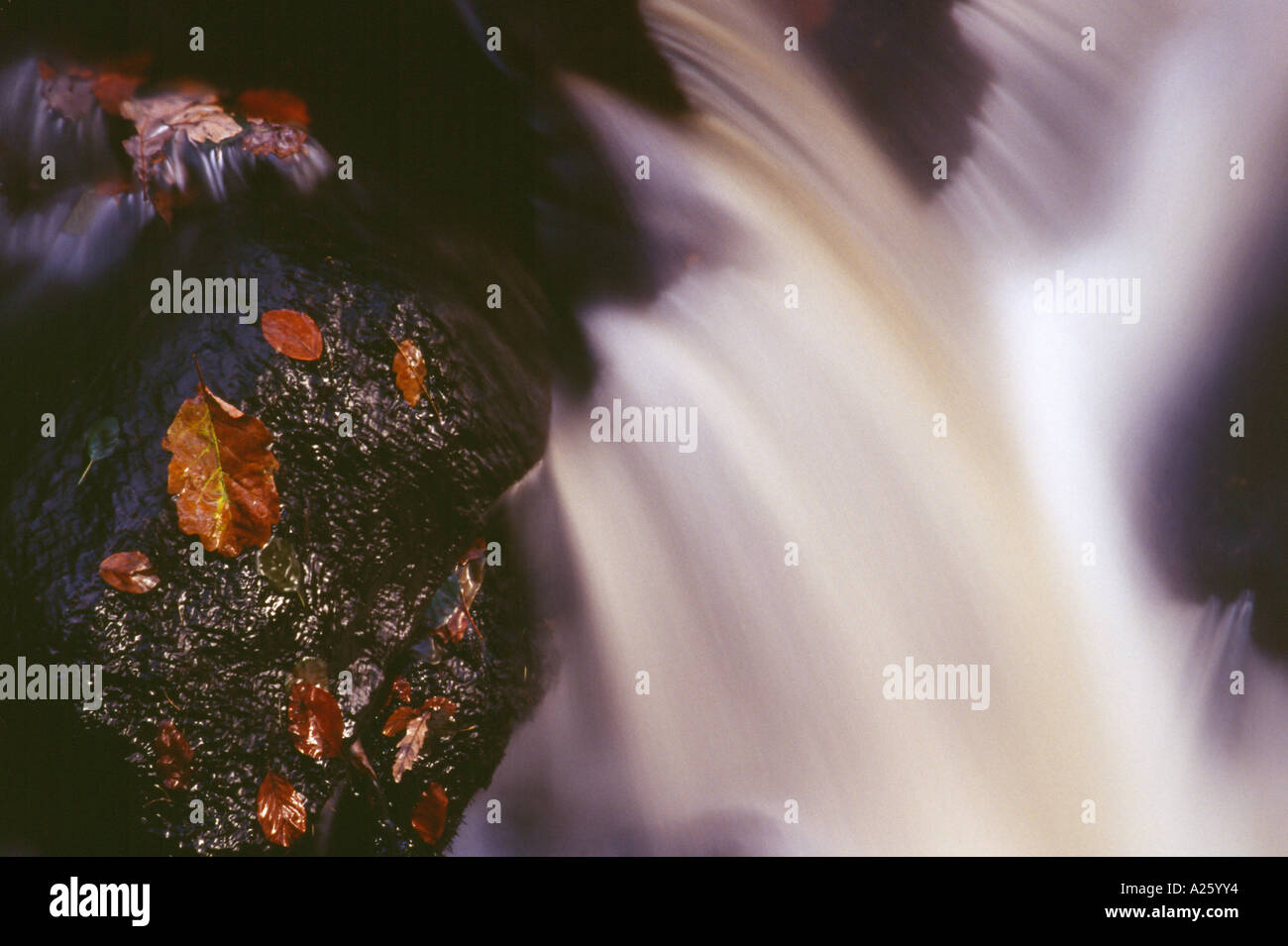 Padley gorge spring hi-res stock photography and images - Alamy