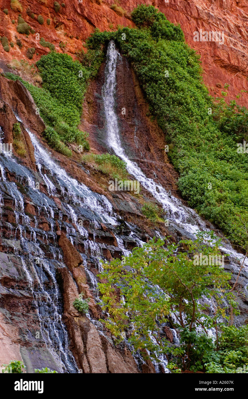 Vaseys paradise hi-res stock photography and images - Alamy