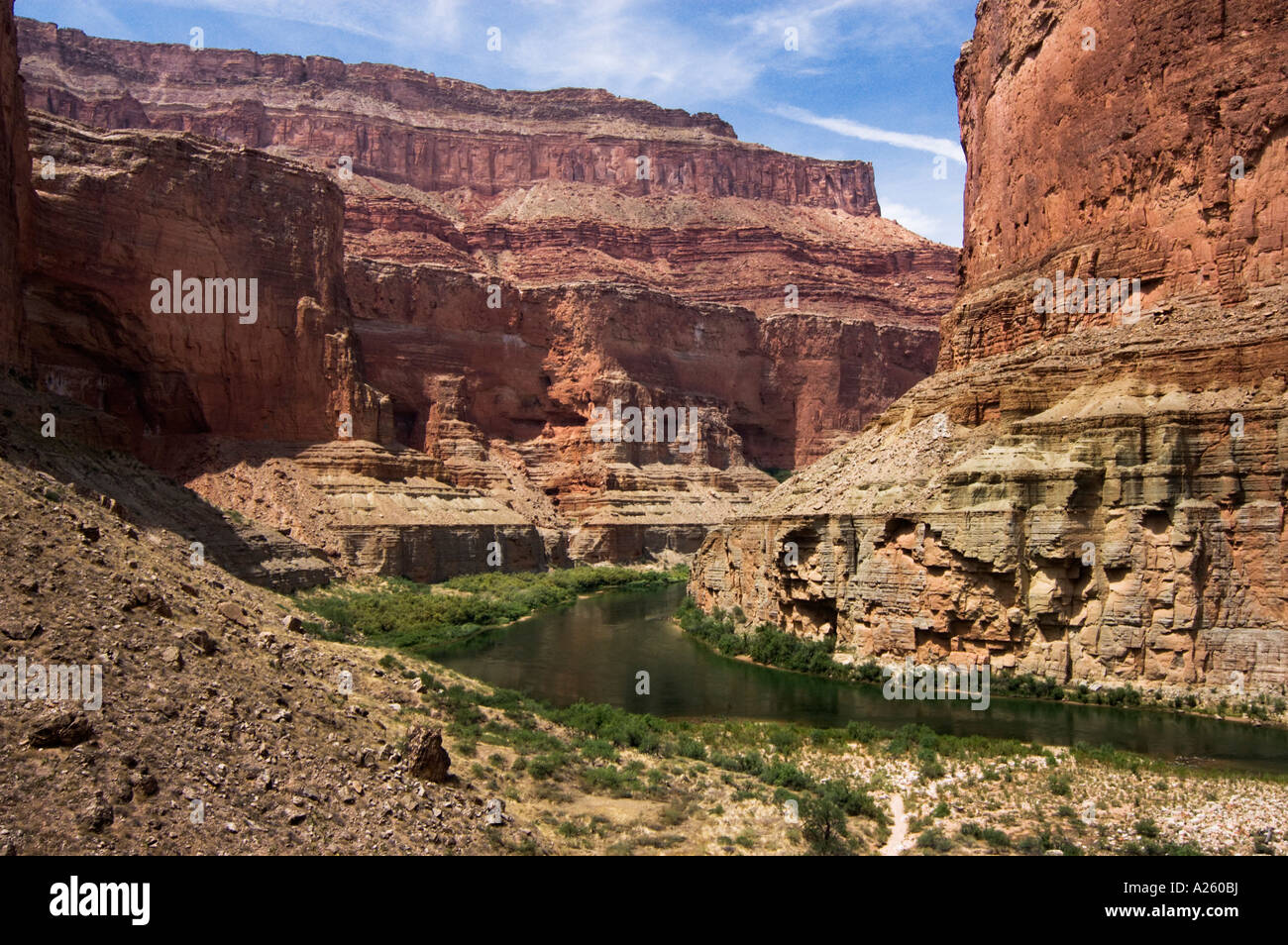 The COLORADO RIVER flows through the GRAND CANYON at mile 46 ARIZONA ...