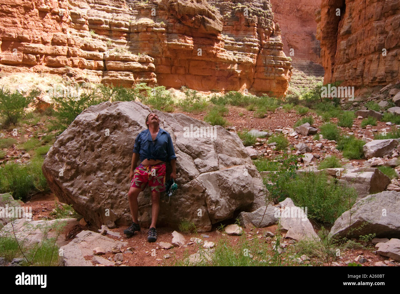 SADDLE CANYON is a beautiful side hike at mile 47 along the Colorado River GRAND CANYON ARIZONA ...