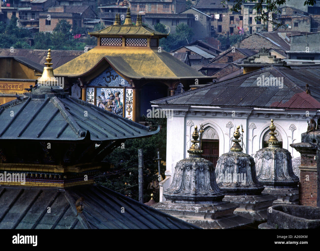 The Hindu PASHUPATINATH TEMPLE COMPLEX was built in 1696 along the ...
