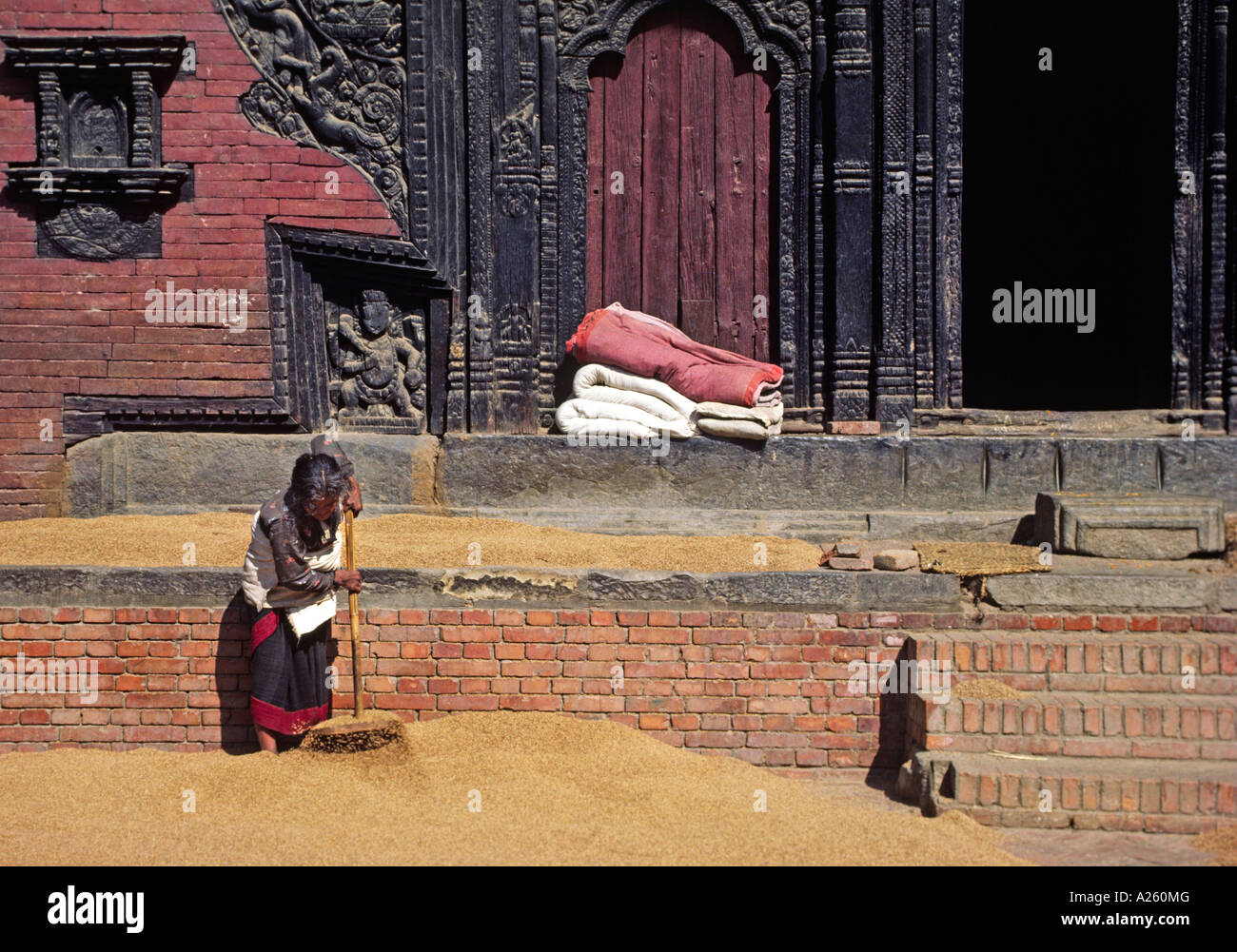 A NEPALI WOMAN rakes RICE drying in a courtyard KATHAMANDU NEPAL Stock ...
