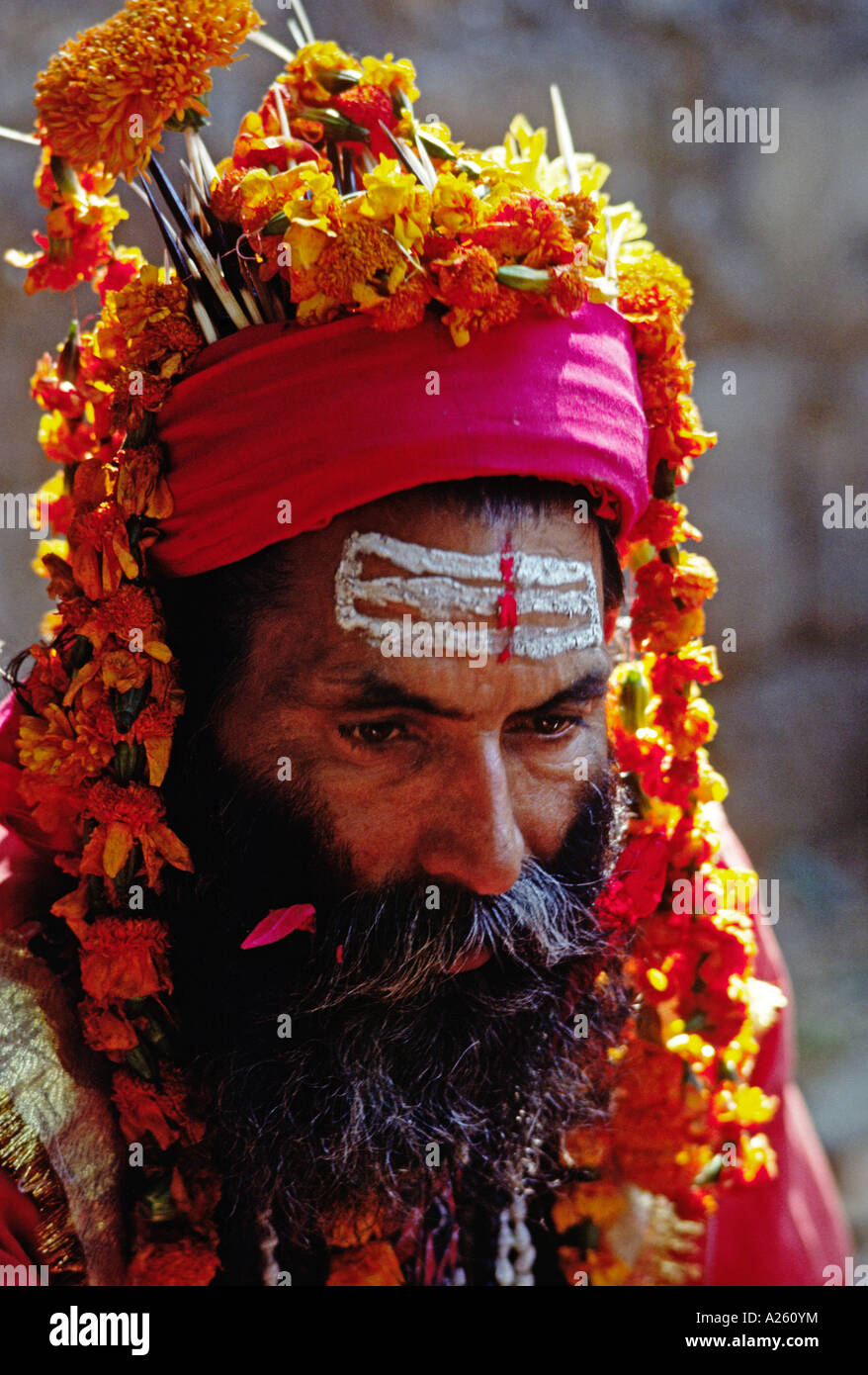 A SADDHU or Hindu Renunciate at the temple of DASHINKALI The goddess ...