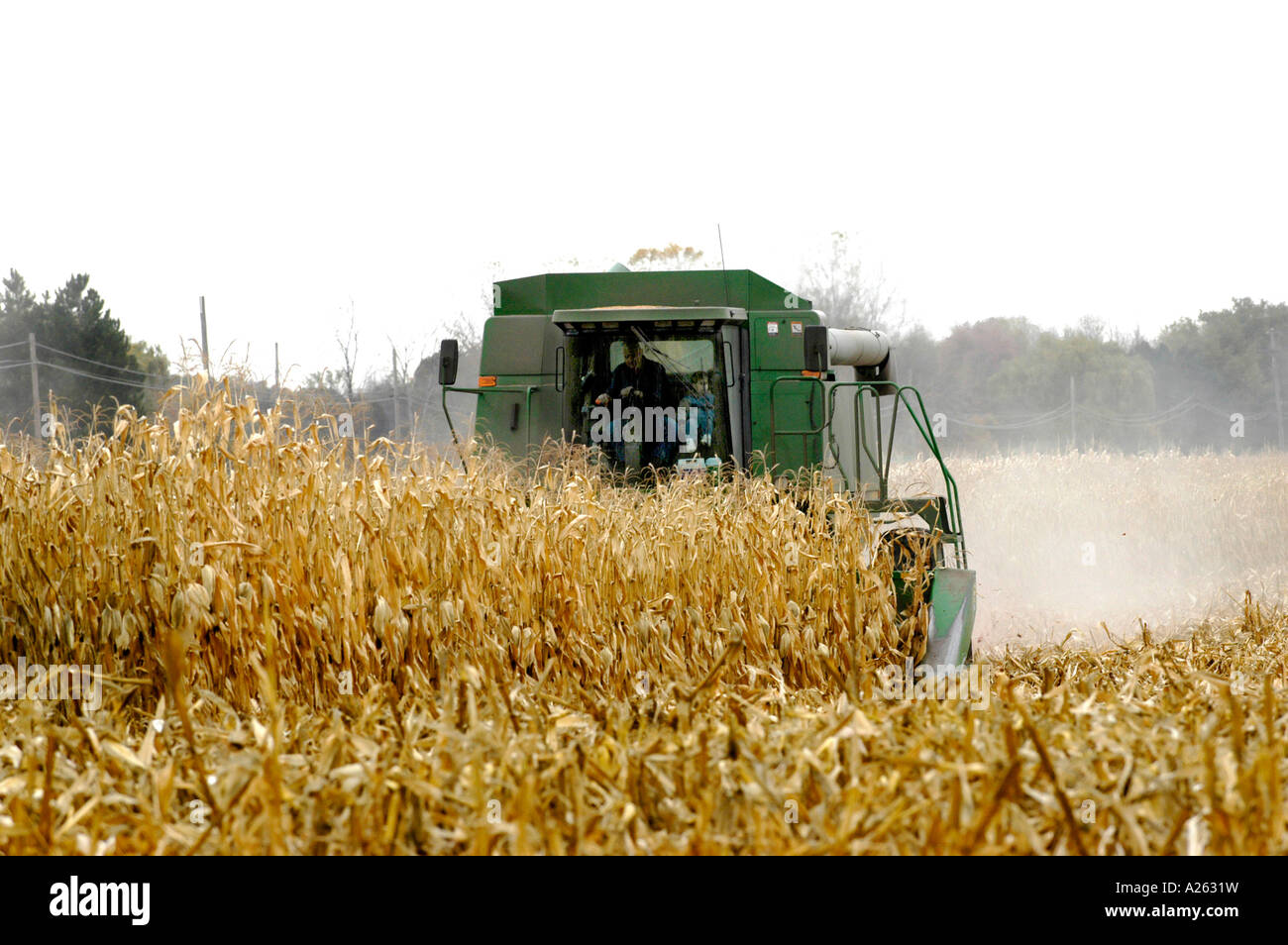 Farmer harvesting corn near Springfield Illinois IL Stock Photo - Alamy