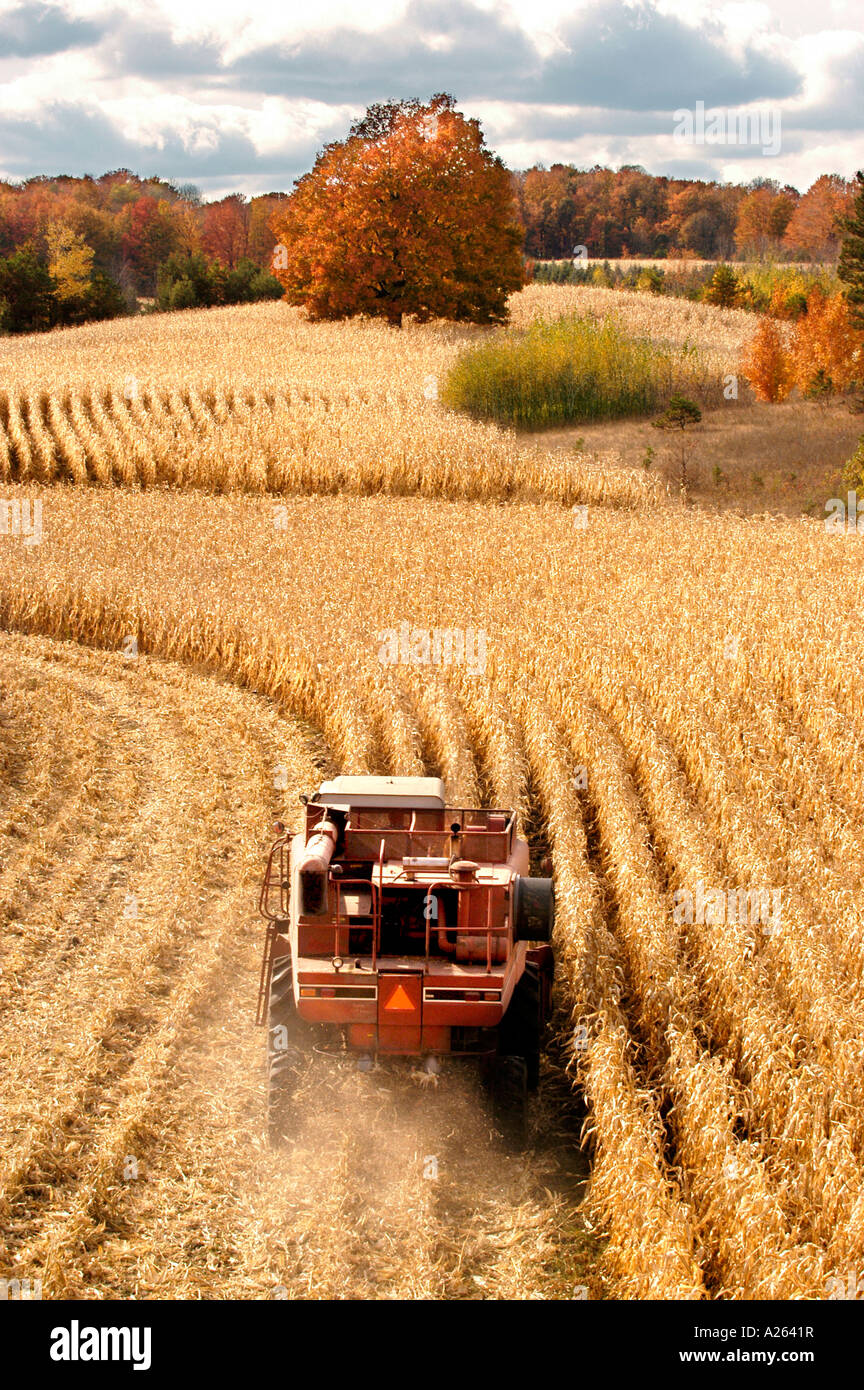 Harvesting corn during fall color season near Cadillac Michigan MI ...