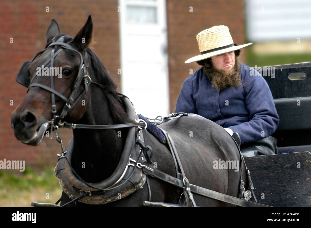 Amish lifestyle in and around Sugarcreek and Millersburg Ohio OH Stock ...