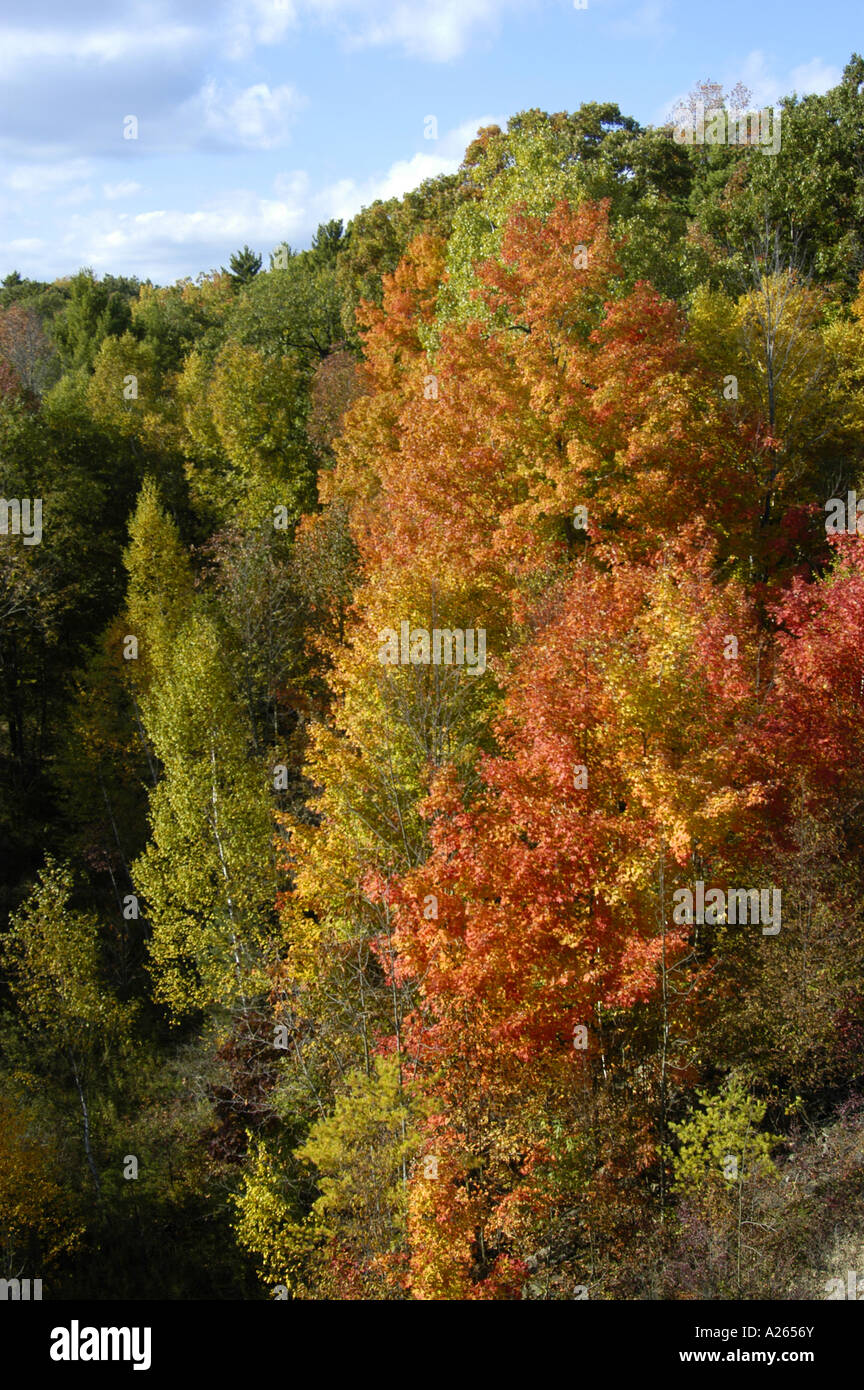 Fall colors in Southeast Michigan MI near Detroit Stock Photo - Alamy