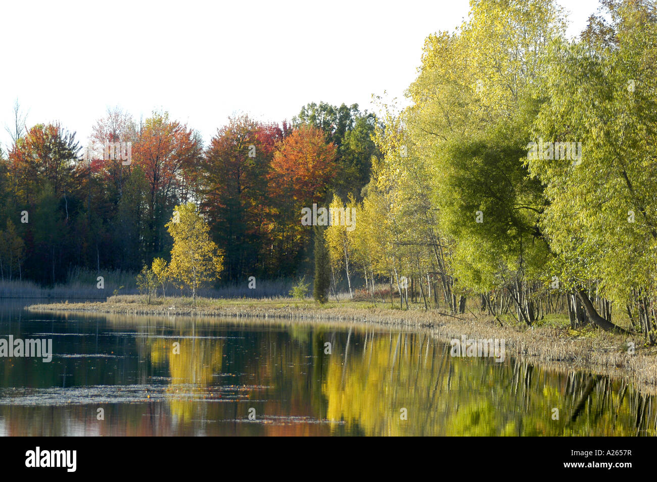 Beautiful scenic detroit lake hi-res stock photography and images - Alamy