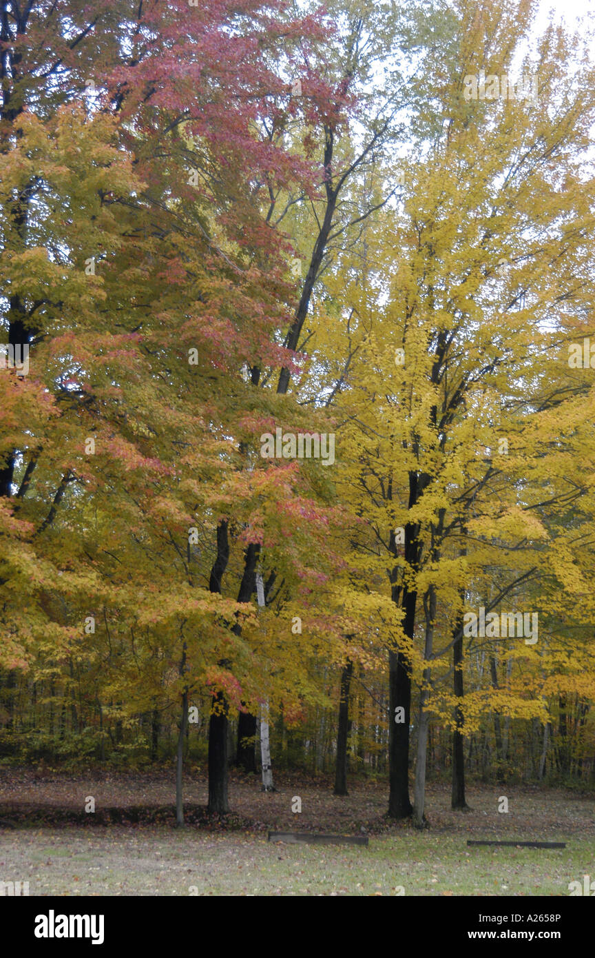 Fall colors in Southeast Michigan MI near Detroit Stock Photo - Alamy