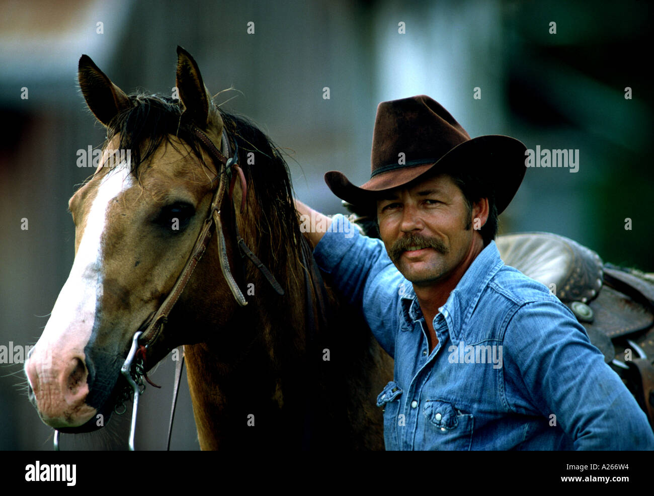 Ride him john wayne hi-res stock photography and images - Alamy