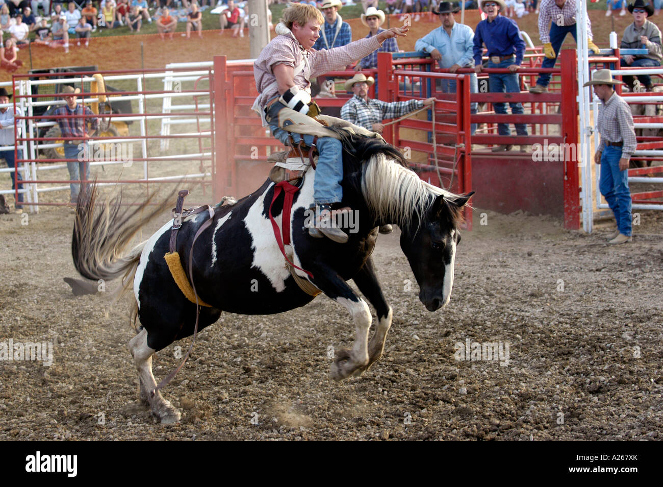 Cowboys compete in Rodeo action Stock Photo - Alamy