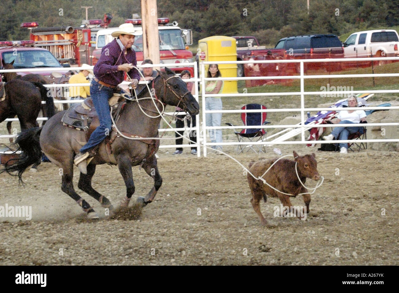 Cowboys compete in Rodeo action Stock Photo - Alamy