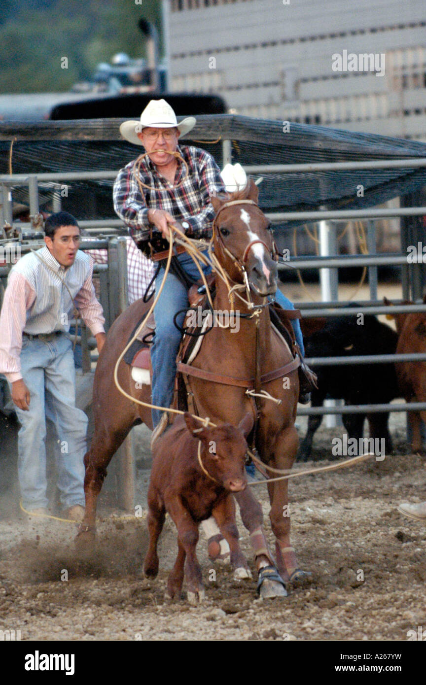 Cowboys compete in Rodeo action Stock Photo - Alamy