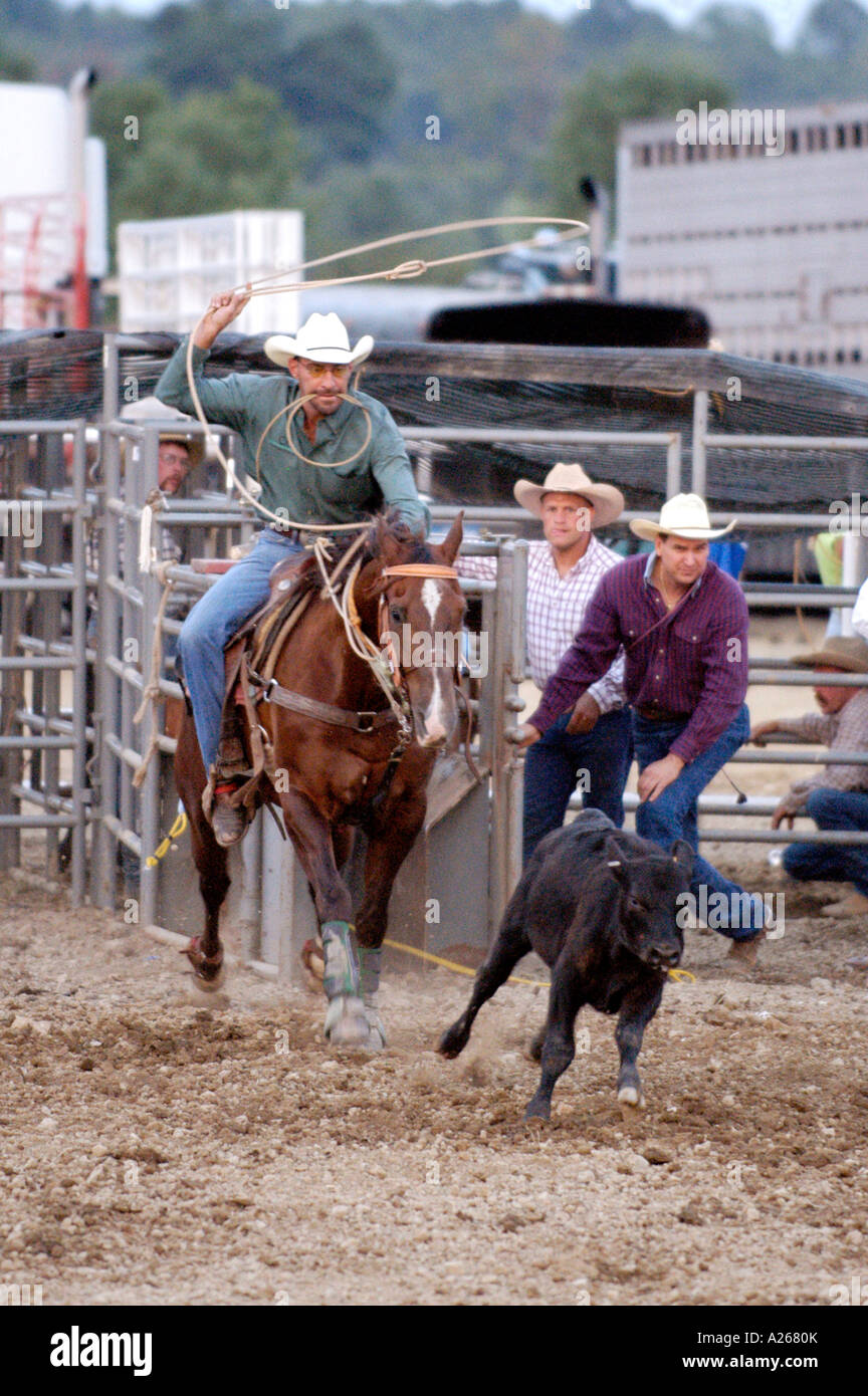 Cowboys compete in Rodeo action Stock Photo - Alamy