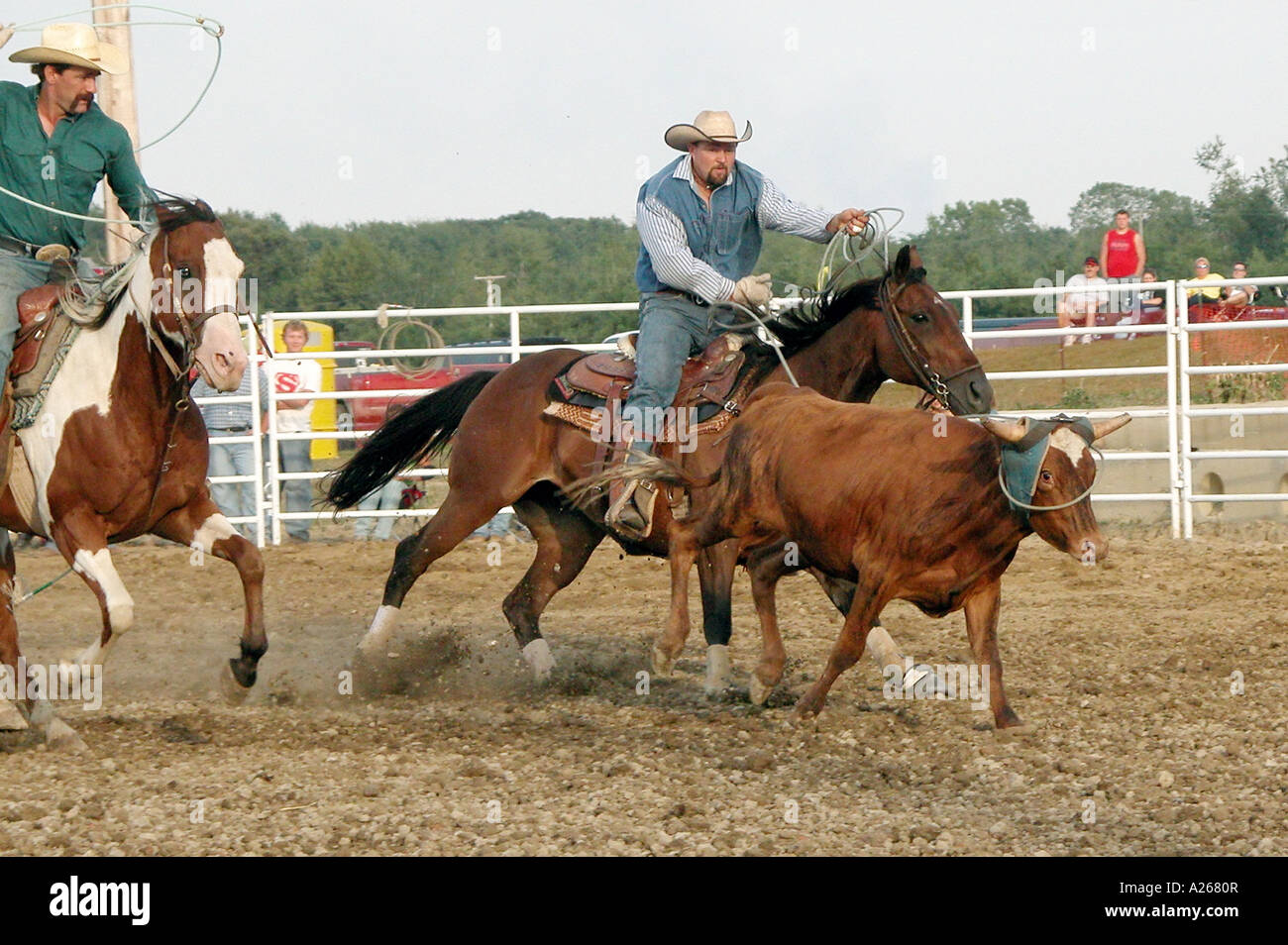 Cowboys compete in Rodeo action Stock Photo - Alamy