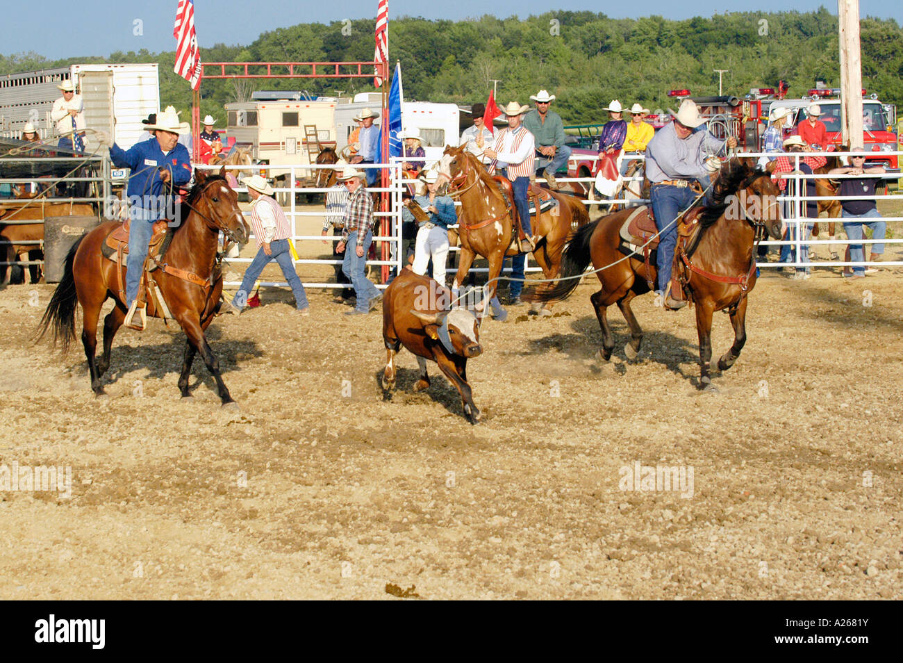 Cowboys compete in Rodeo action Stock Photo - Alamy