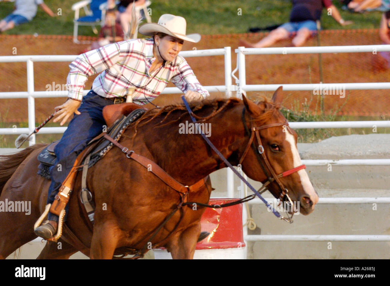 Female cowboy Compete in Rodeo Barrel Competition Stock Photo - Alamy