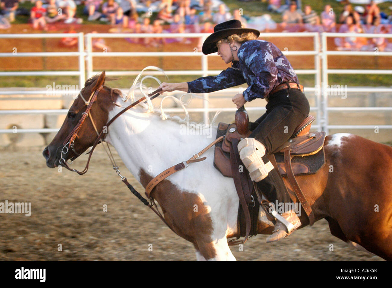 Female cowboy Compete in Rodeo Barrel Competition Stock Photo - Alamy