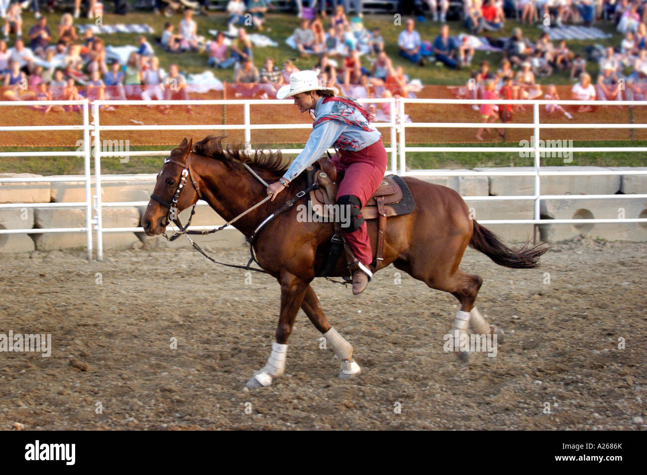 Female cowboy Compete in Rodeo Barrel Competition Stock Photo - Alamy
