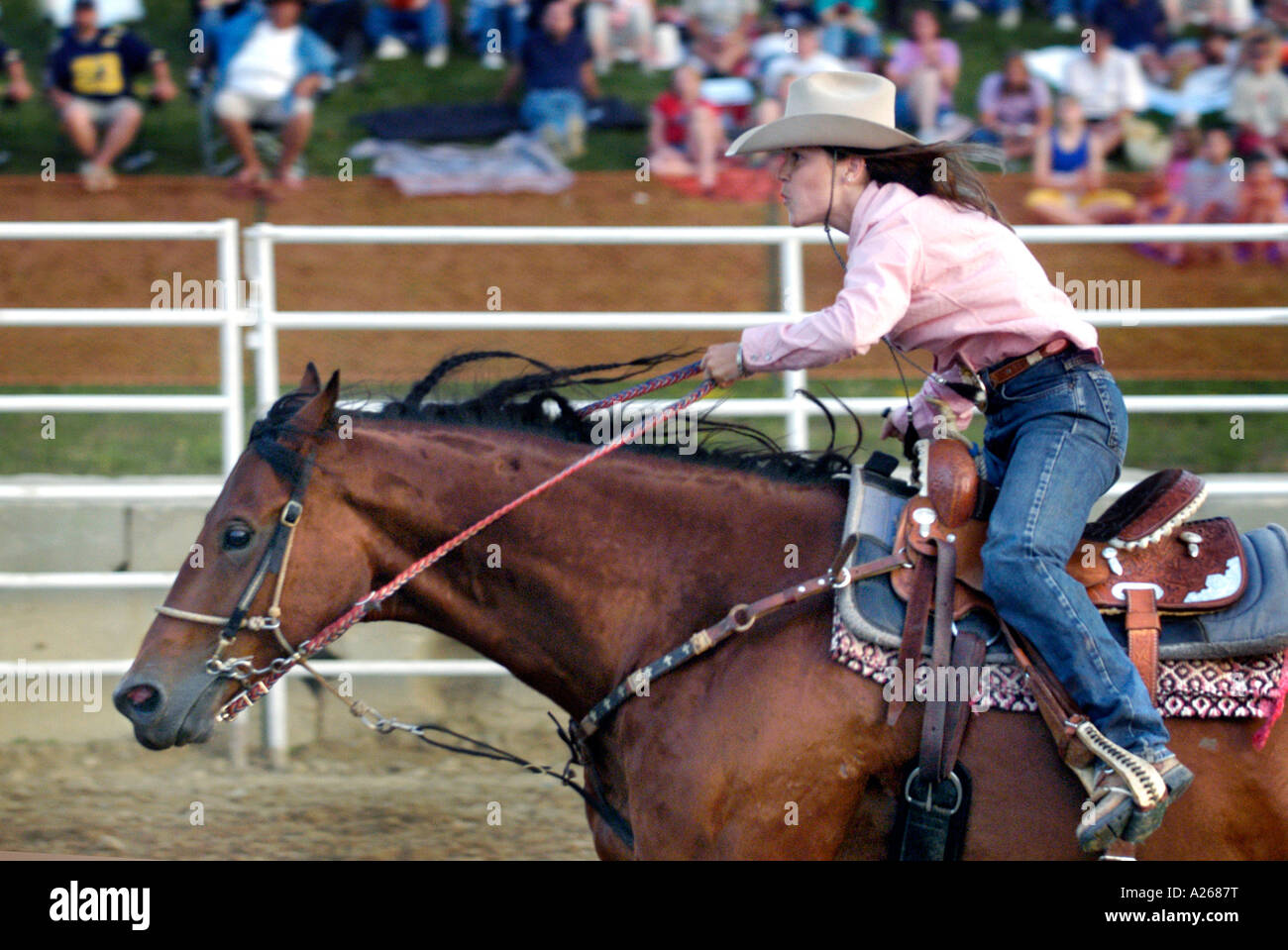 Female cowboy Compete in Rodeo Barrel Competition Stock Photo - Alamy