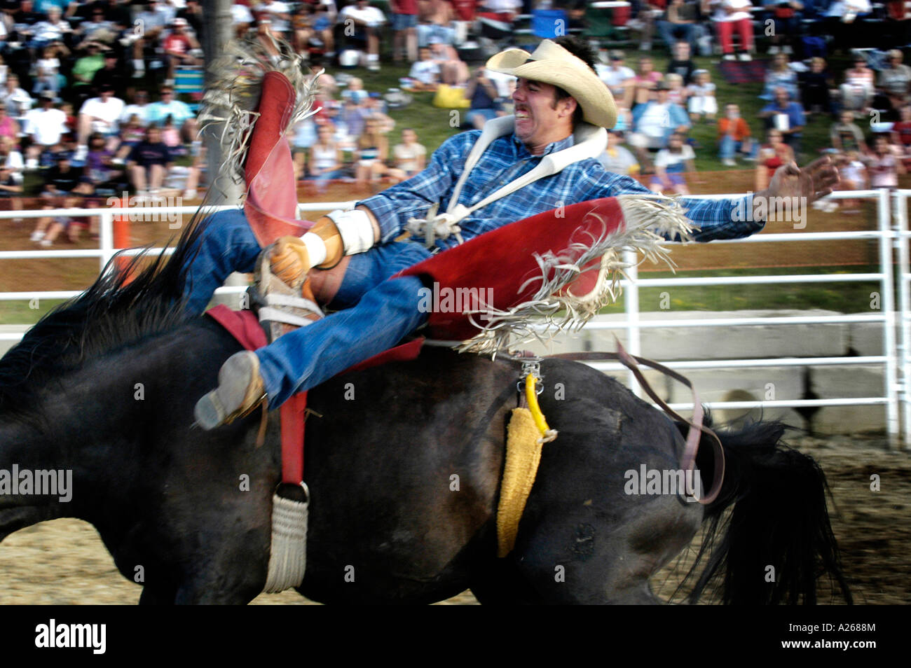 Cowboys compete in Rodeo action Stock Photo - Alamy