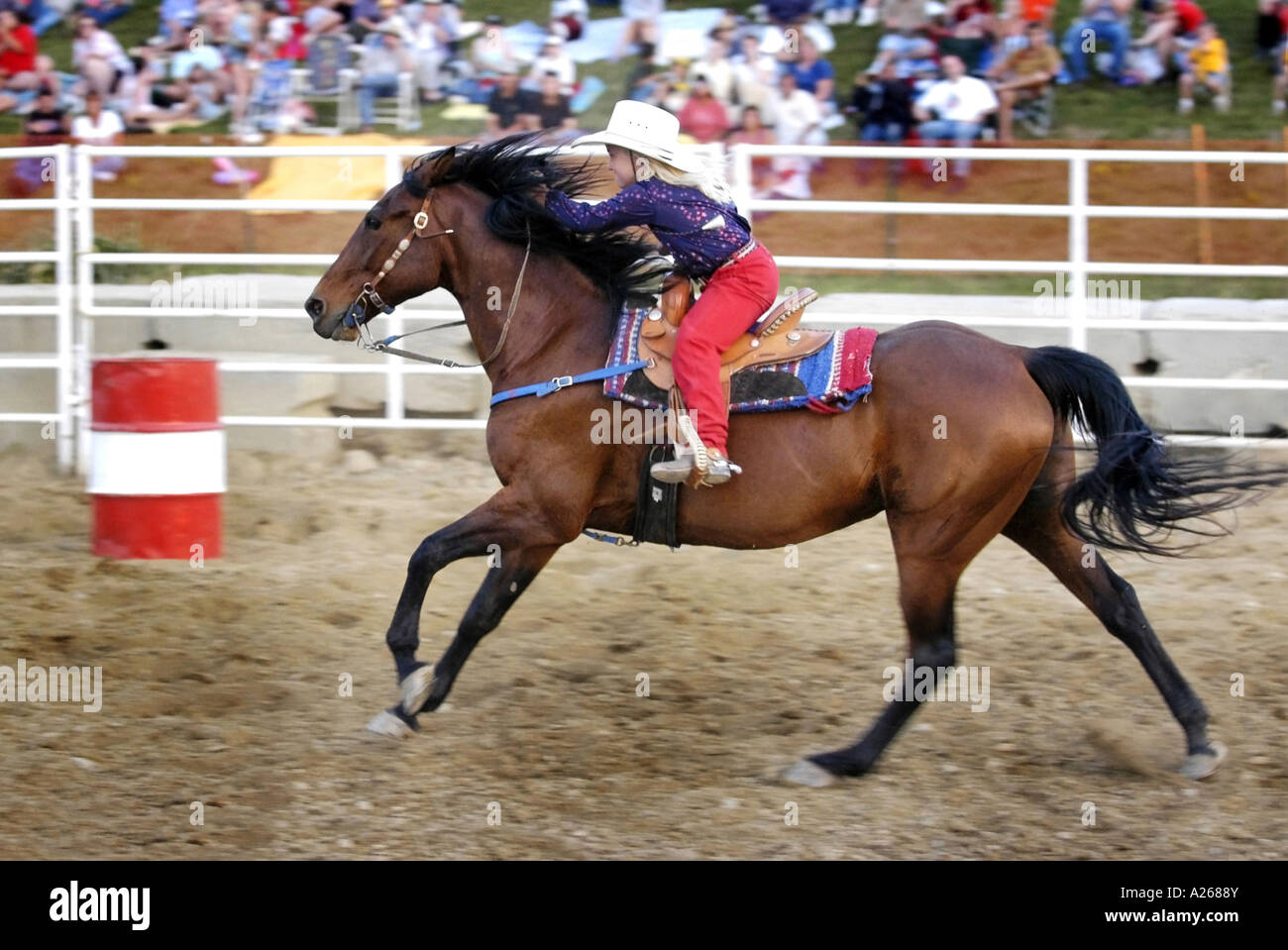 Cowboys compete in Rodeo action Stock Photo - Alamy