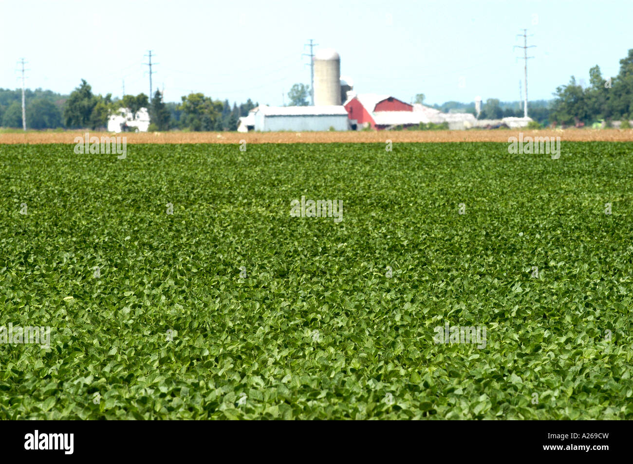 Mn Agriculture