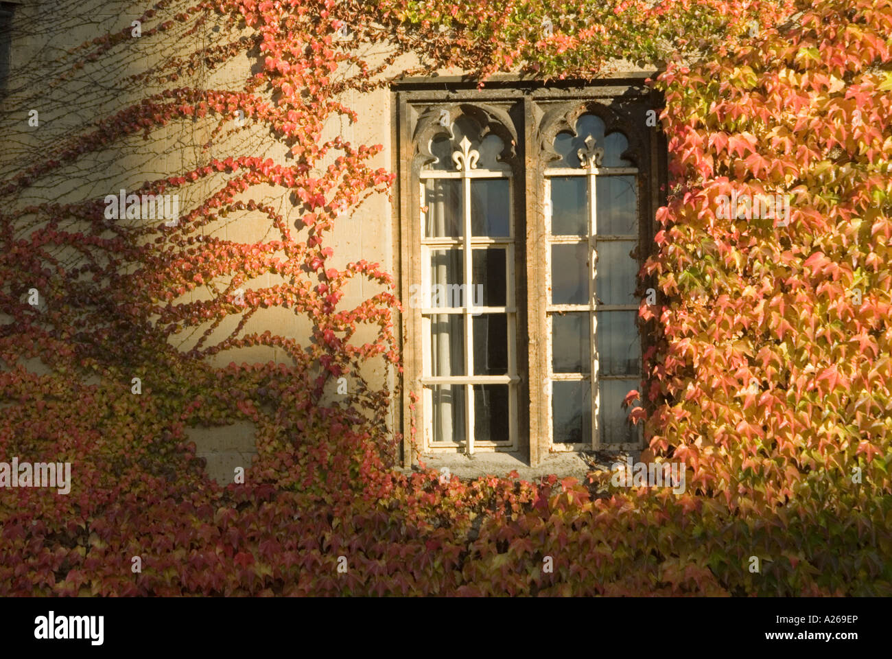 neo Gothic style window of Balliol College building, St Giles Oxford ...