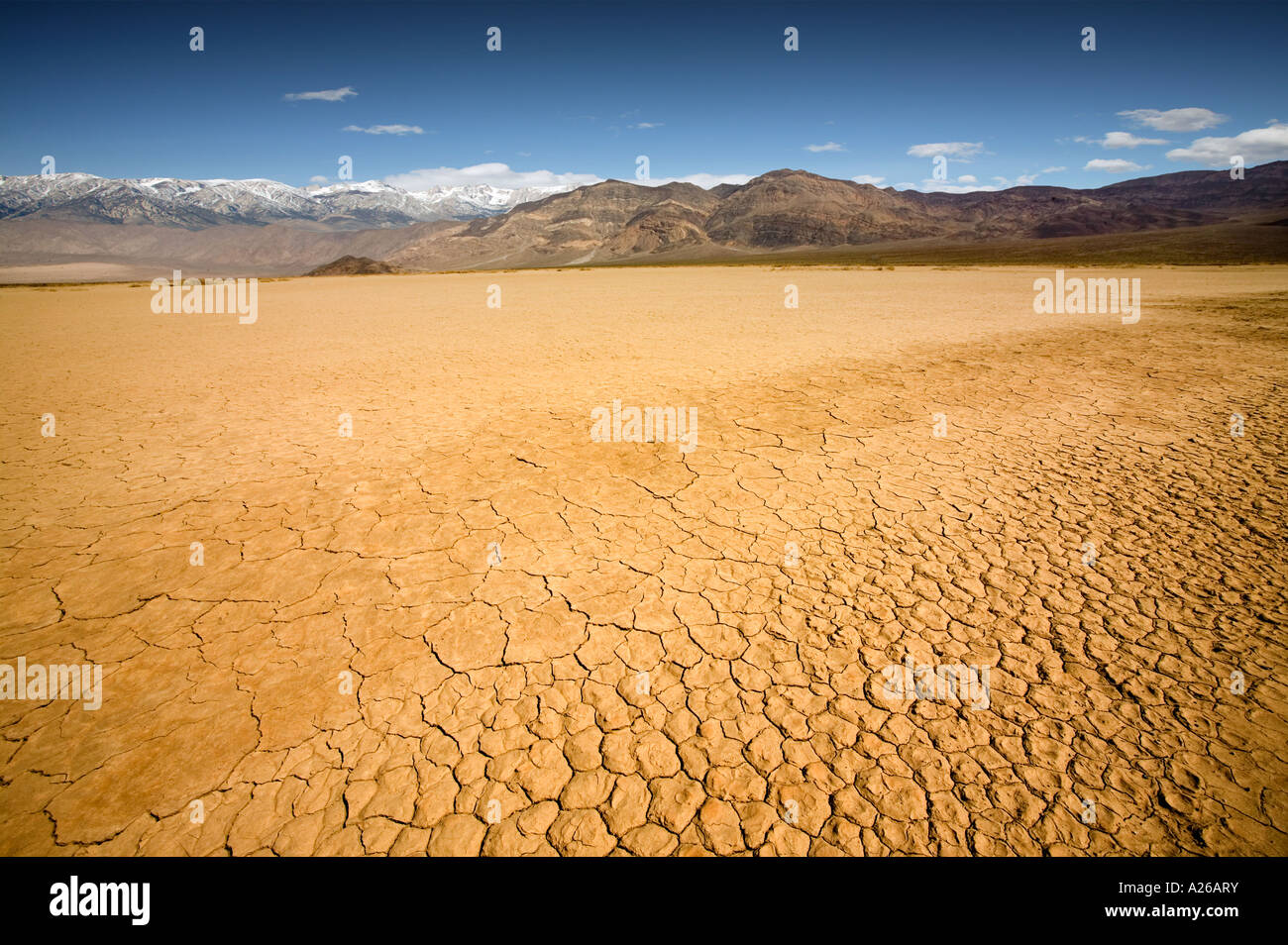 The Cracked desert sand of Death Valley California Stock Photo - Alamy