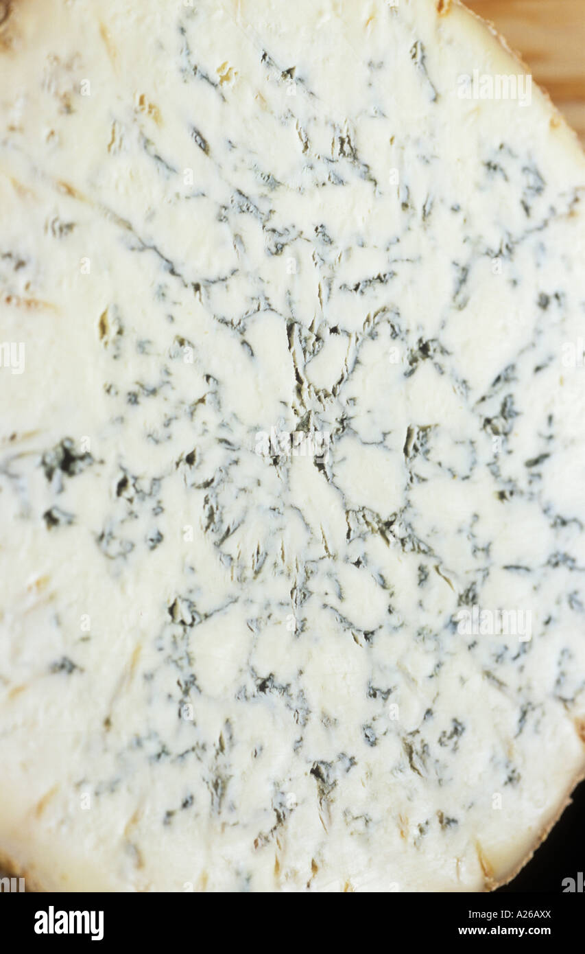 CLOSE UP OF CUT STILTON CHEESE SHOWING BLUE VEINING AND EXTERIOR CRUST ...