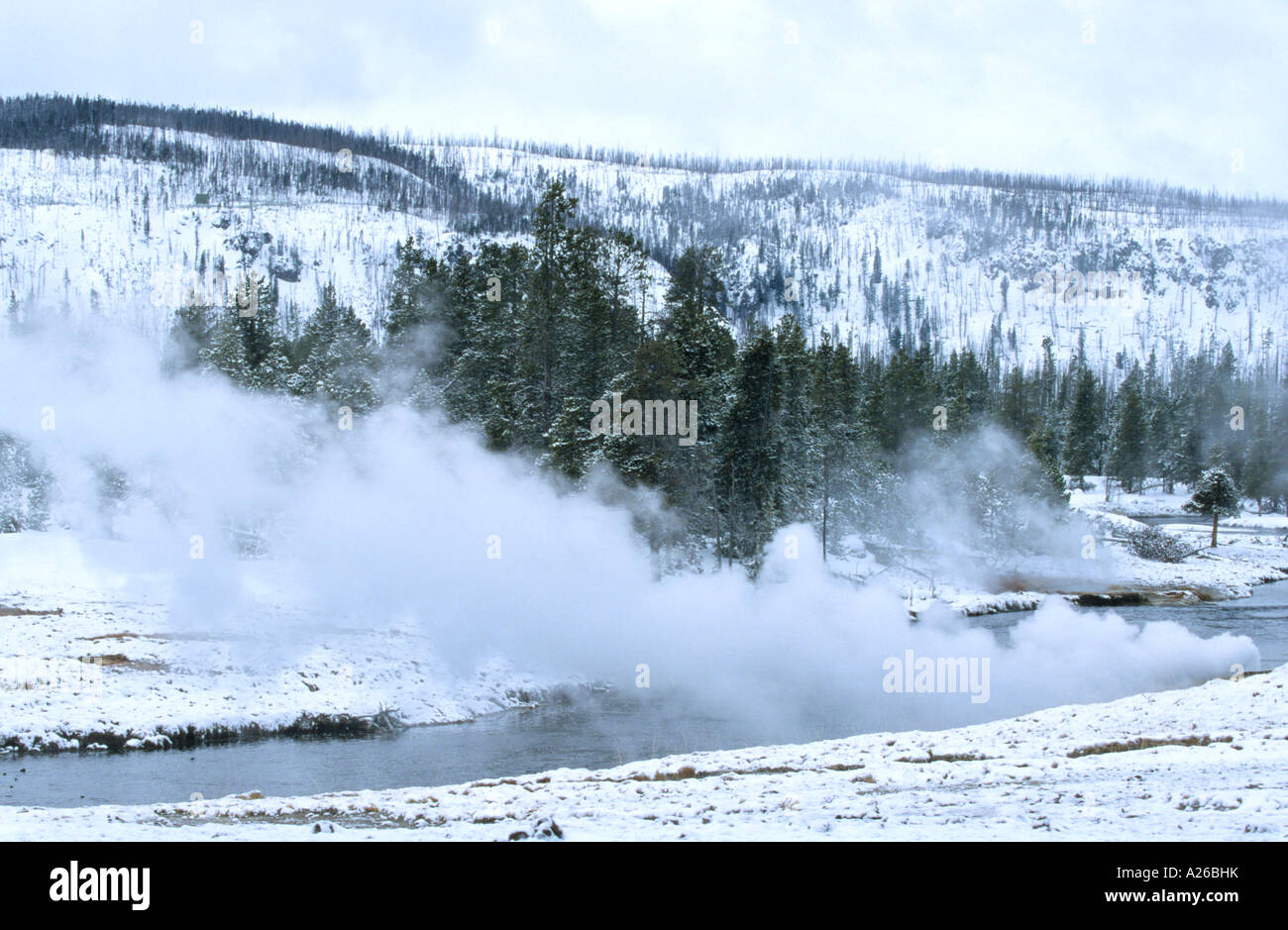 Volcanic activity in Yellowstone National Park Stock Photo - Alamy