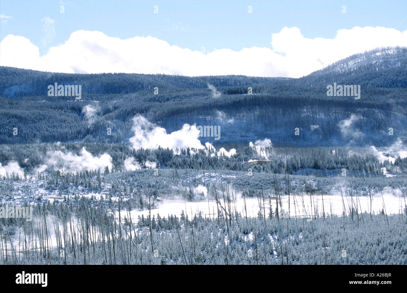 Geyser activity in Yellowstone Stock Photo - Alamy