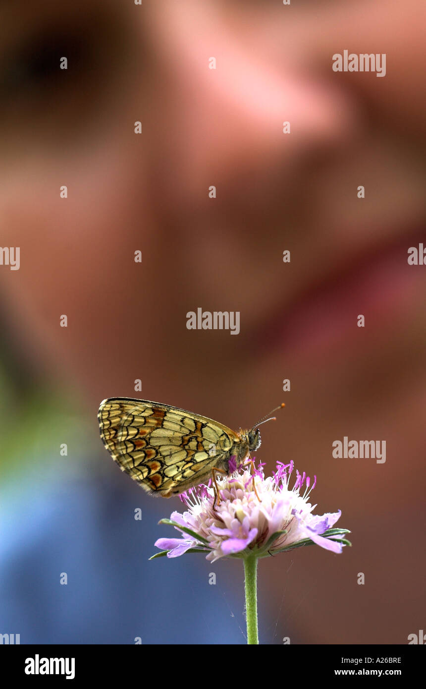 Young woman looking at butterfly on flower Heath Fritillary Butterfly ...