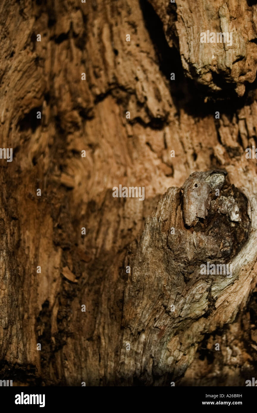 Jagged textures hi-res stock photography and images - Alamy