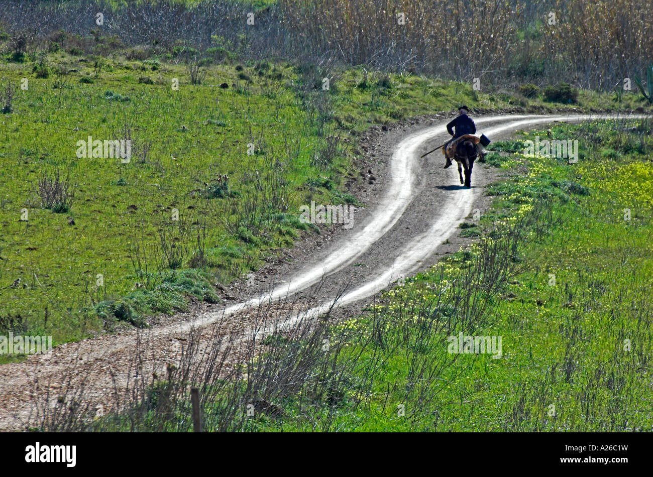 long and winding road Stock Photo - Alamy